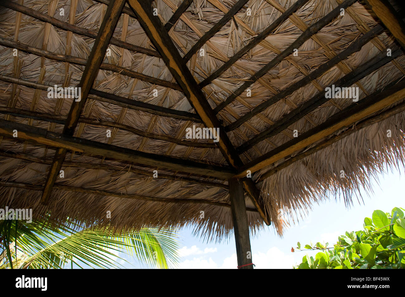 typical architecture of thatched roof construction with blue sky in big ...