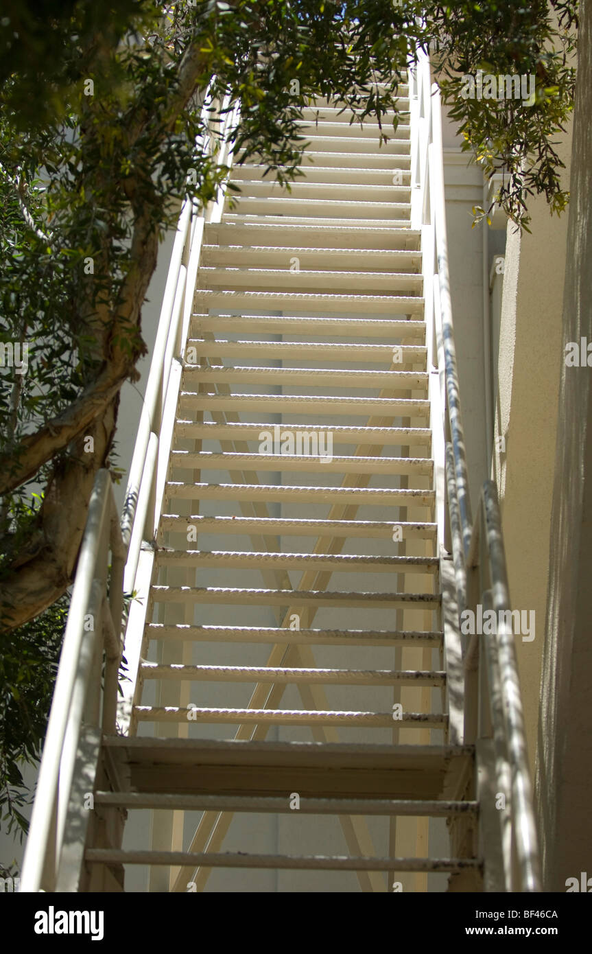 A white set of stairs appears to lead upwards forever past the trees ...