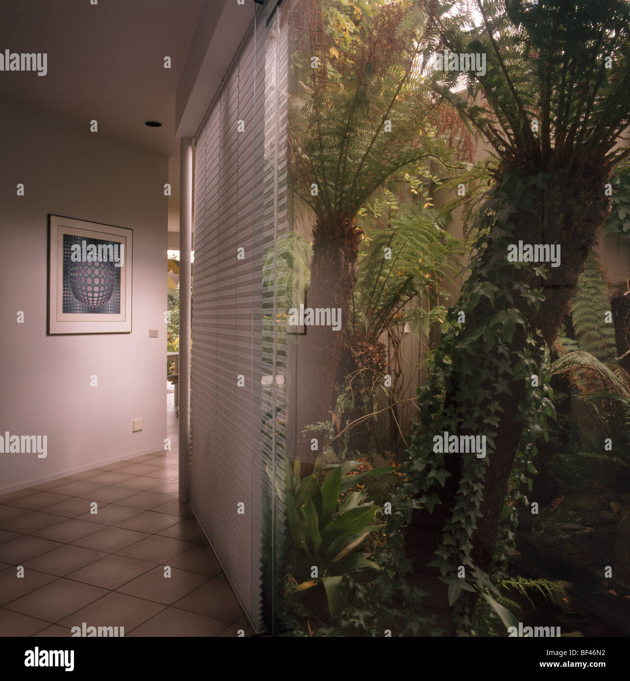 Modern hall with view through glass wall of large palm trees and green ...