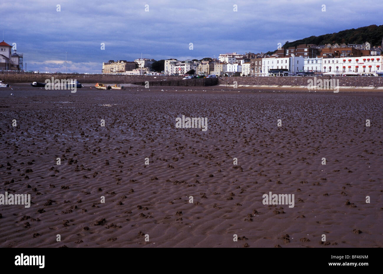 Knightstone harbour hi-res stock photography and images - Alamy