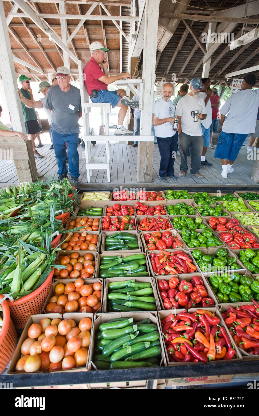 produce being sold at Laurel Farmers Market Produce Auction in Delaware ...