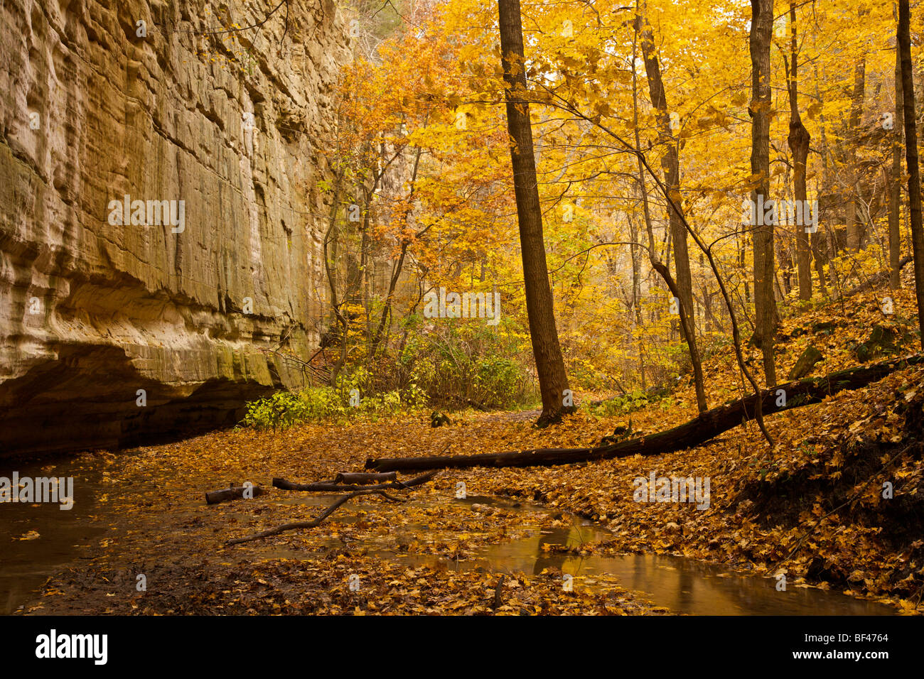 Ottawa nature preserve hi-res stock photography and images - Alamy
