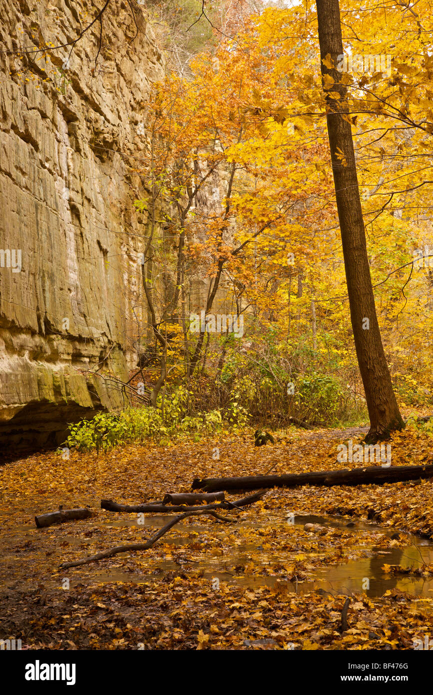 Autumn color. Ottawa Canyon. Starved Rock State Park Stock Photo - Alamy