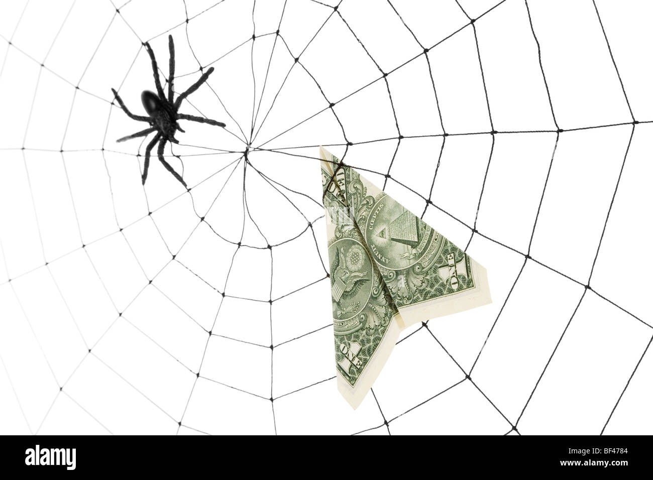 Spider Web and dollar, business concept Stock Photo - Alamy
