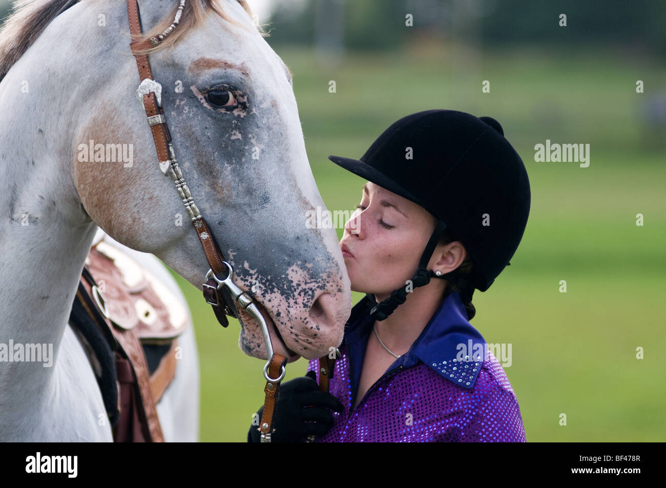Horse kiss hi-res stock photography and images - Alamy