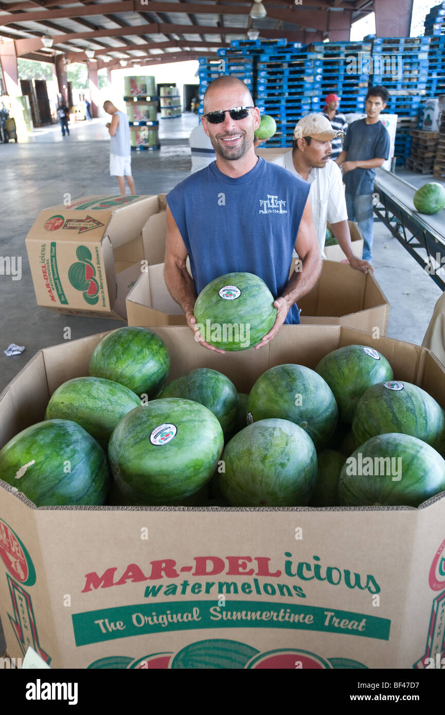 Rhodesdale hi-res stock photography and images - Alamy