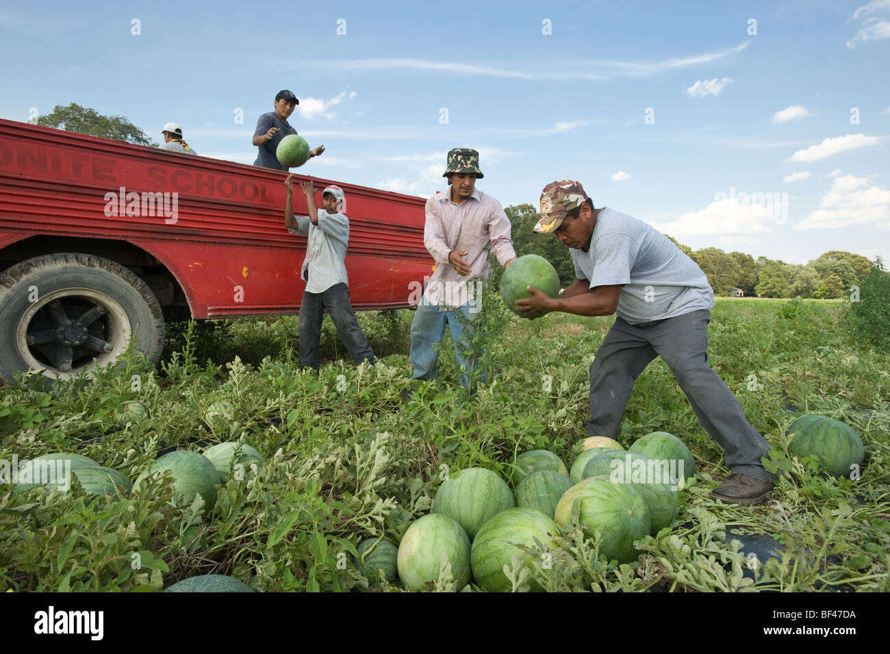Converted school bus hi-res stock photography and images - Alamy
