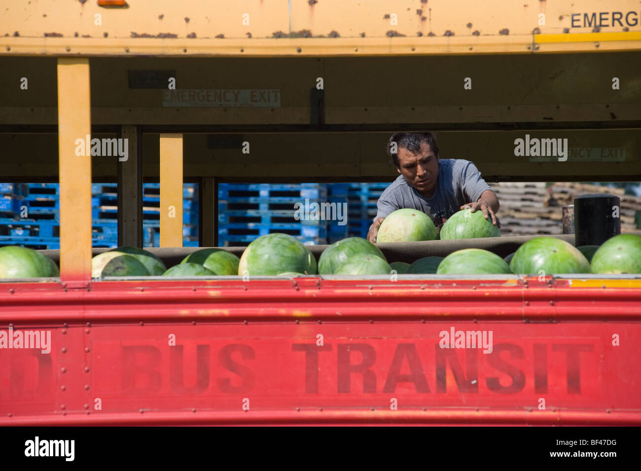 Converted school bus hi-res stock photography and images - Alamy