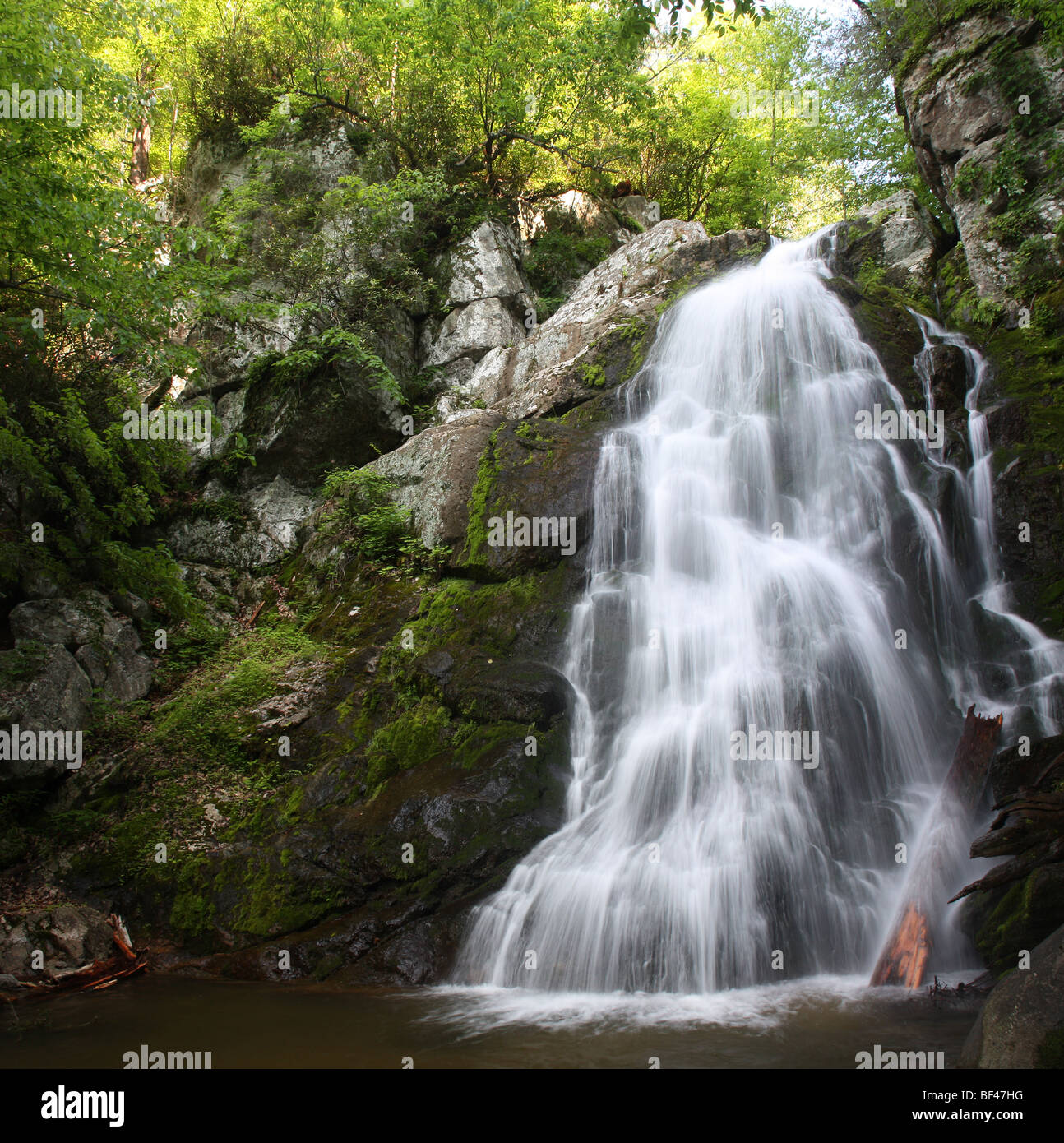 Stiles Falls in southwest Virginia Stock Photo - Alamy