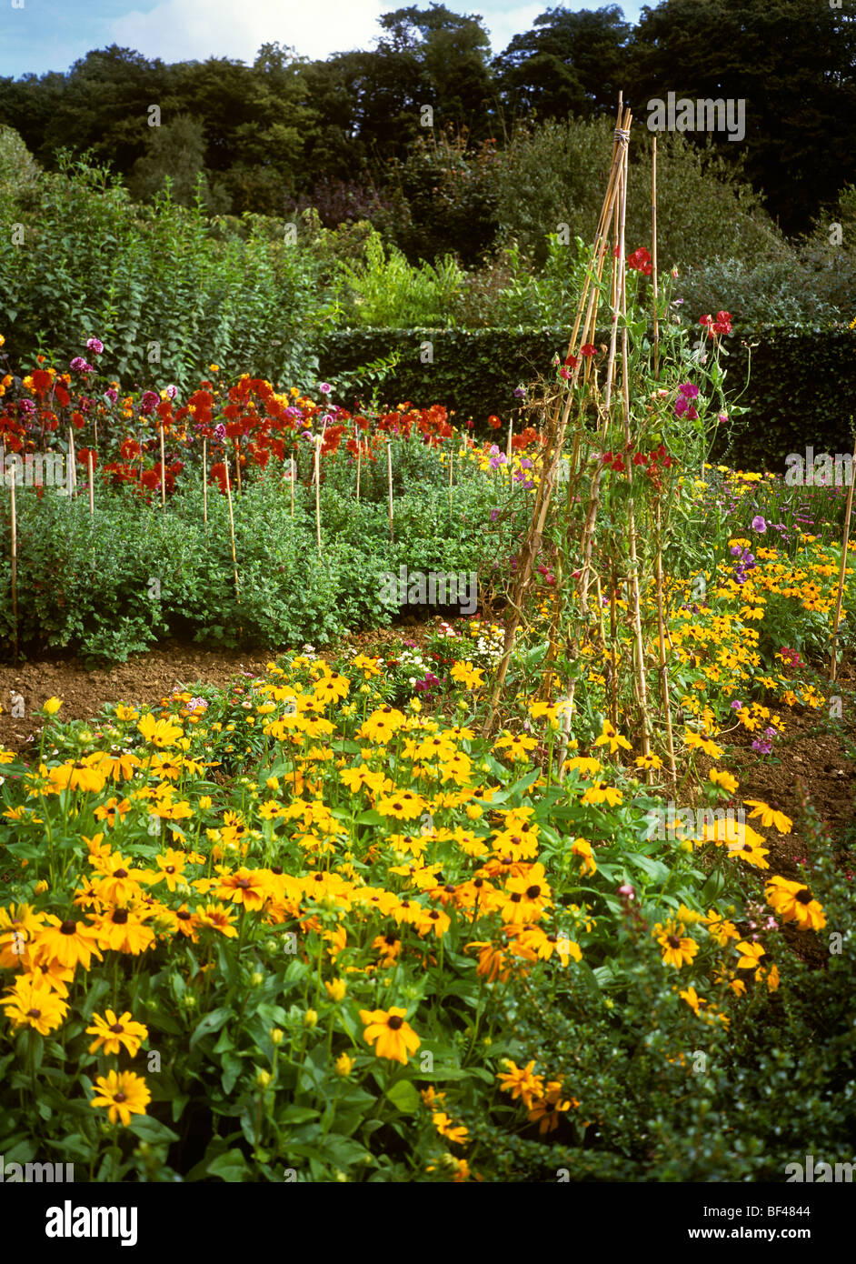 Barnsdale gardens hi-res stock photography and images - Alamy