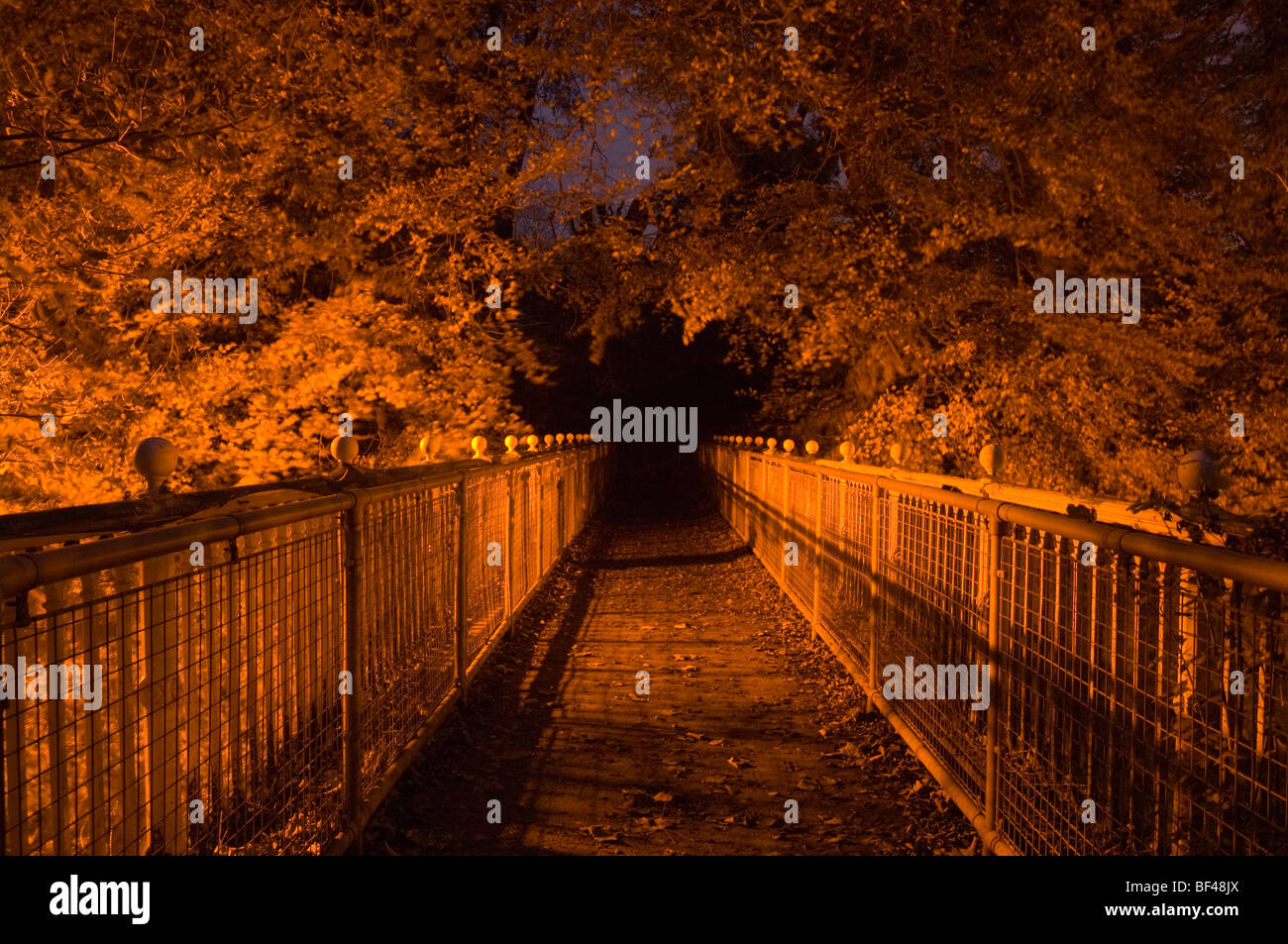 North Downs Way Footbridge Over Reigate Hill Surrey Lit At Night By ...