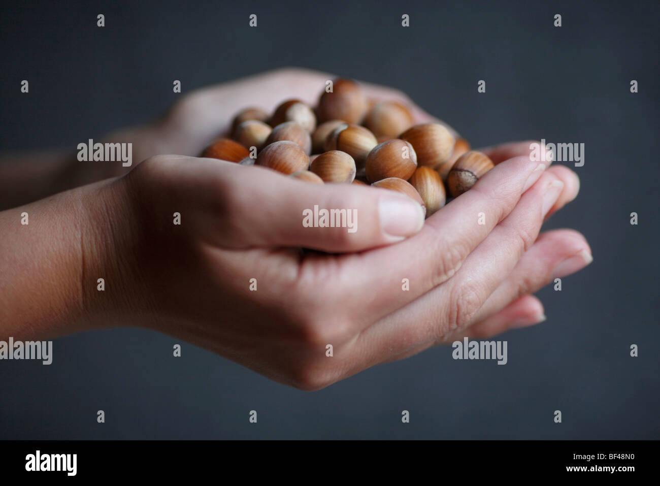Hands holding hazelnuts Stock Photo - Alamy