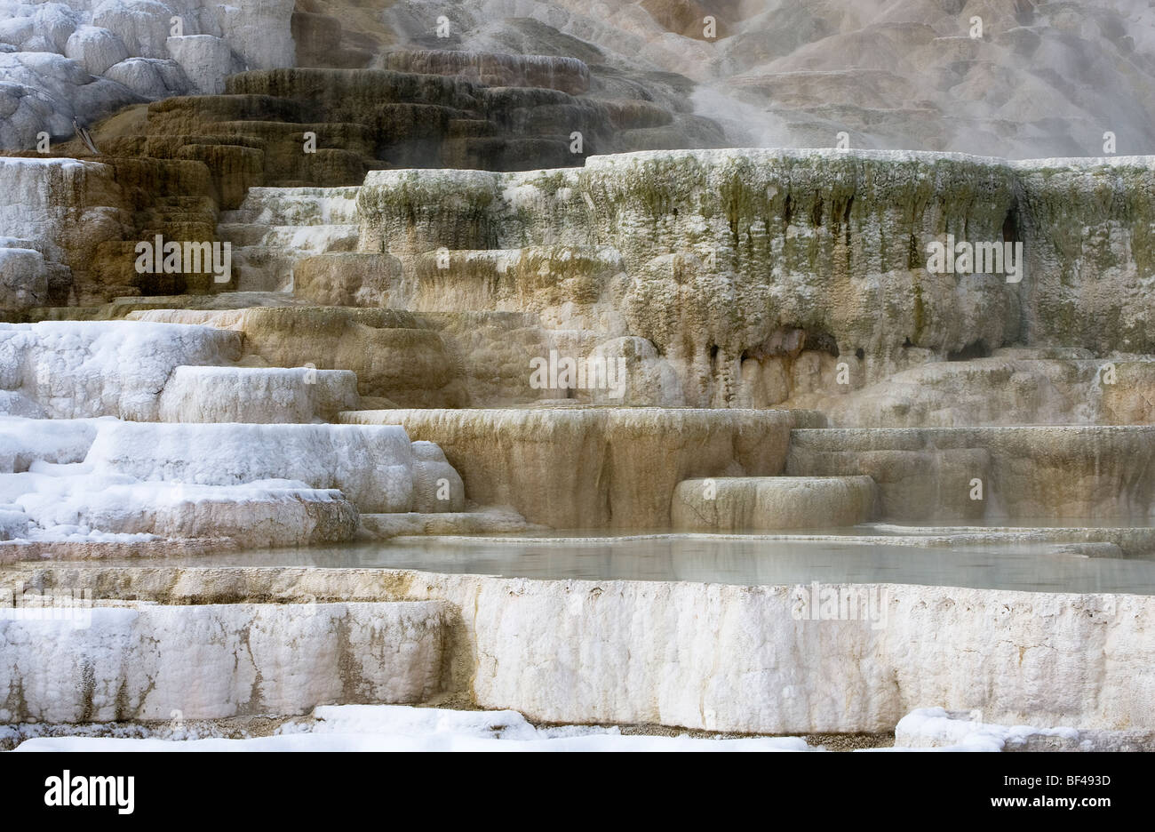 Travertine Terraces at Mammoth Springs Stock Photo - Alamy