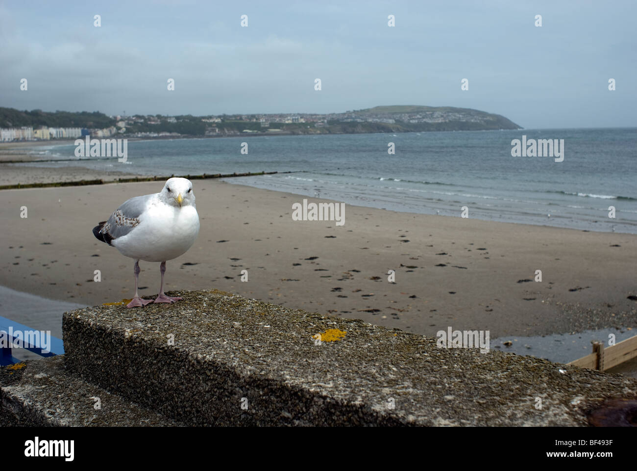 Looking east across Douglas Bay on the Isle of Man towards Onchan with ...