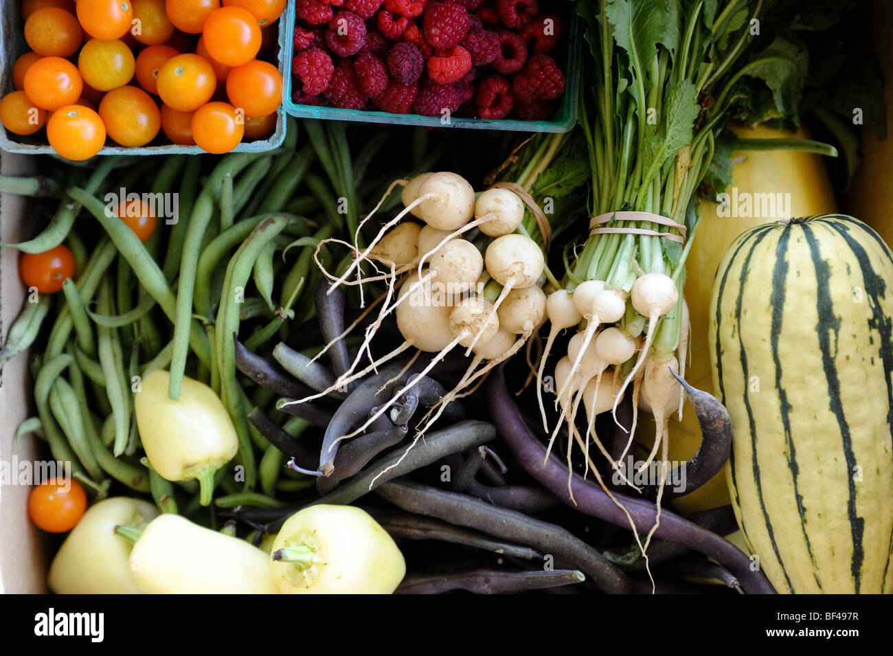 Vegetables in CSA share Stock Photo - Alamy