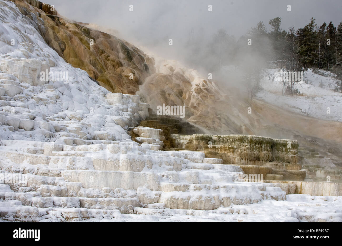 Travertine terraces yellowstone hi-res stock photography and images - Alamy