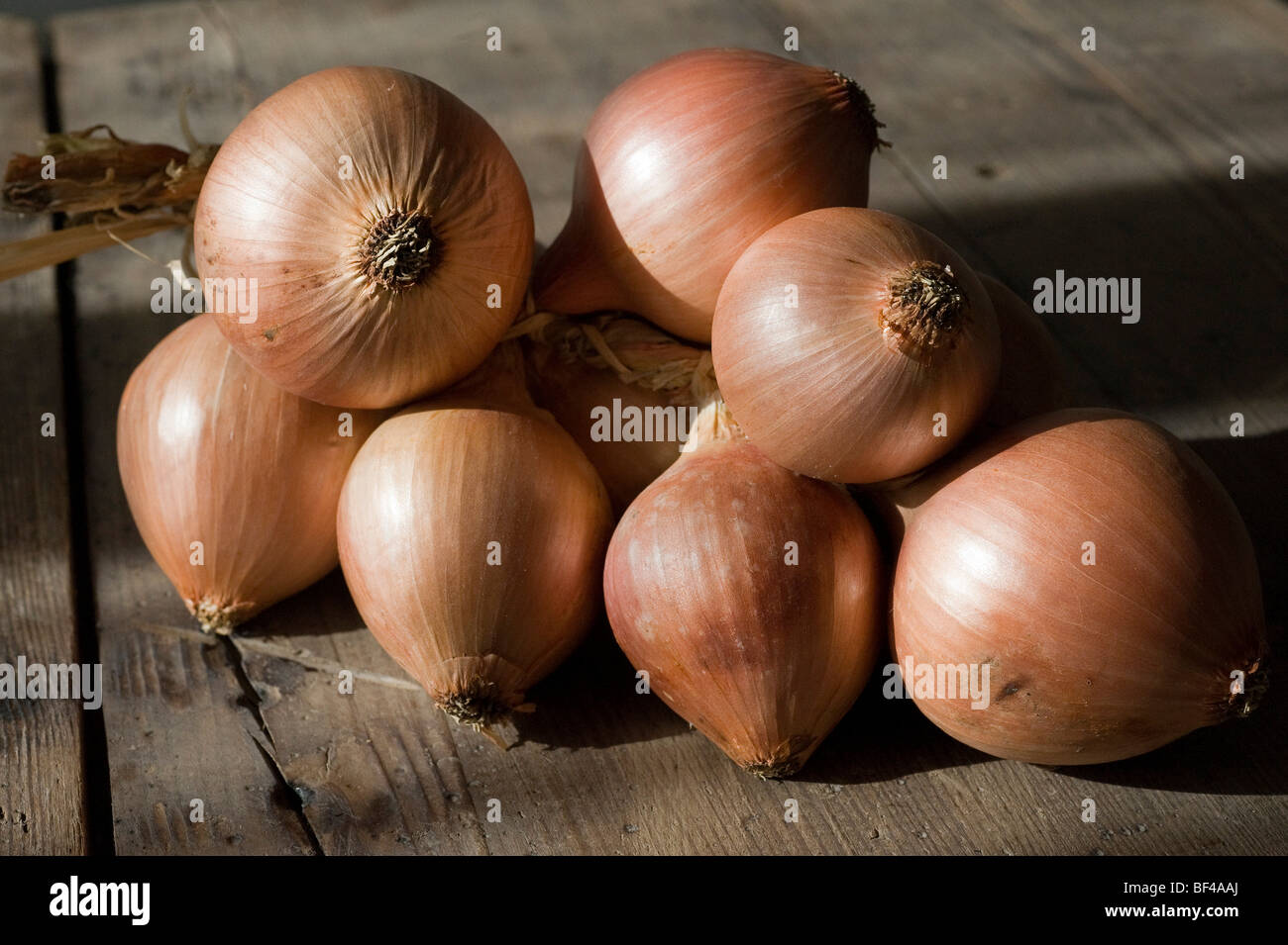 Onions from Roscoff, Brittany, known for their mild taste Stock Photo ...