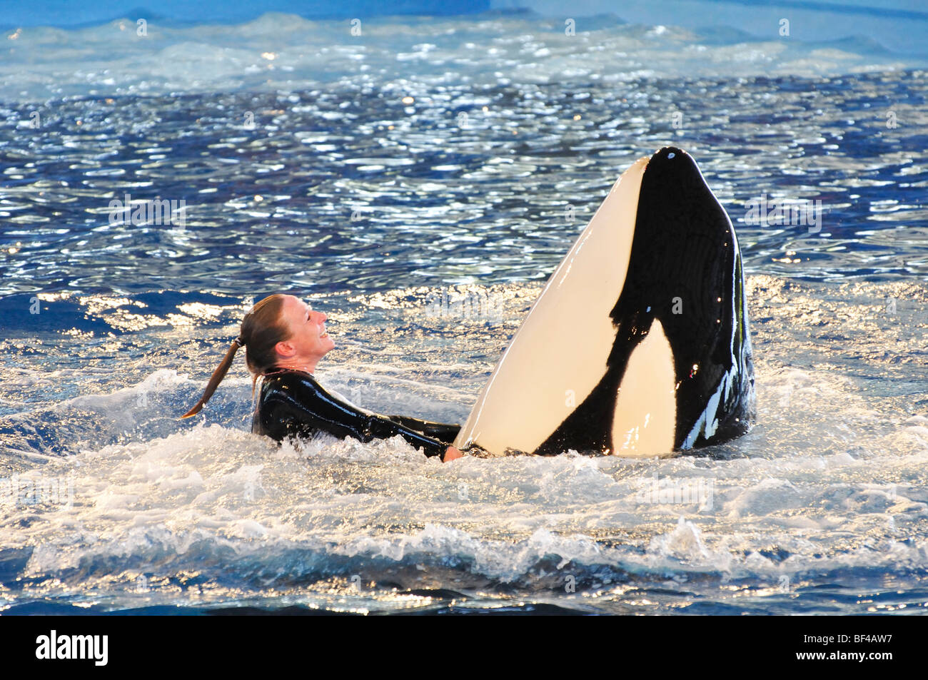Killer whale show at SeaWorld, San Antonio, Texas - the largest ...