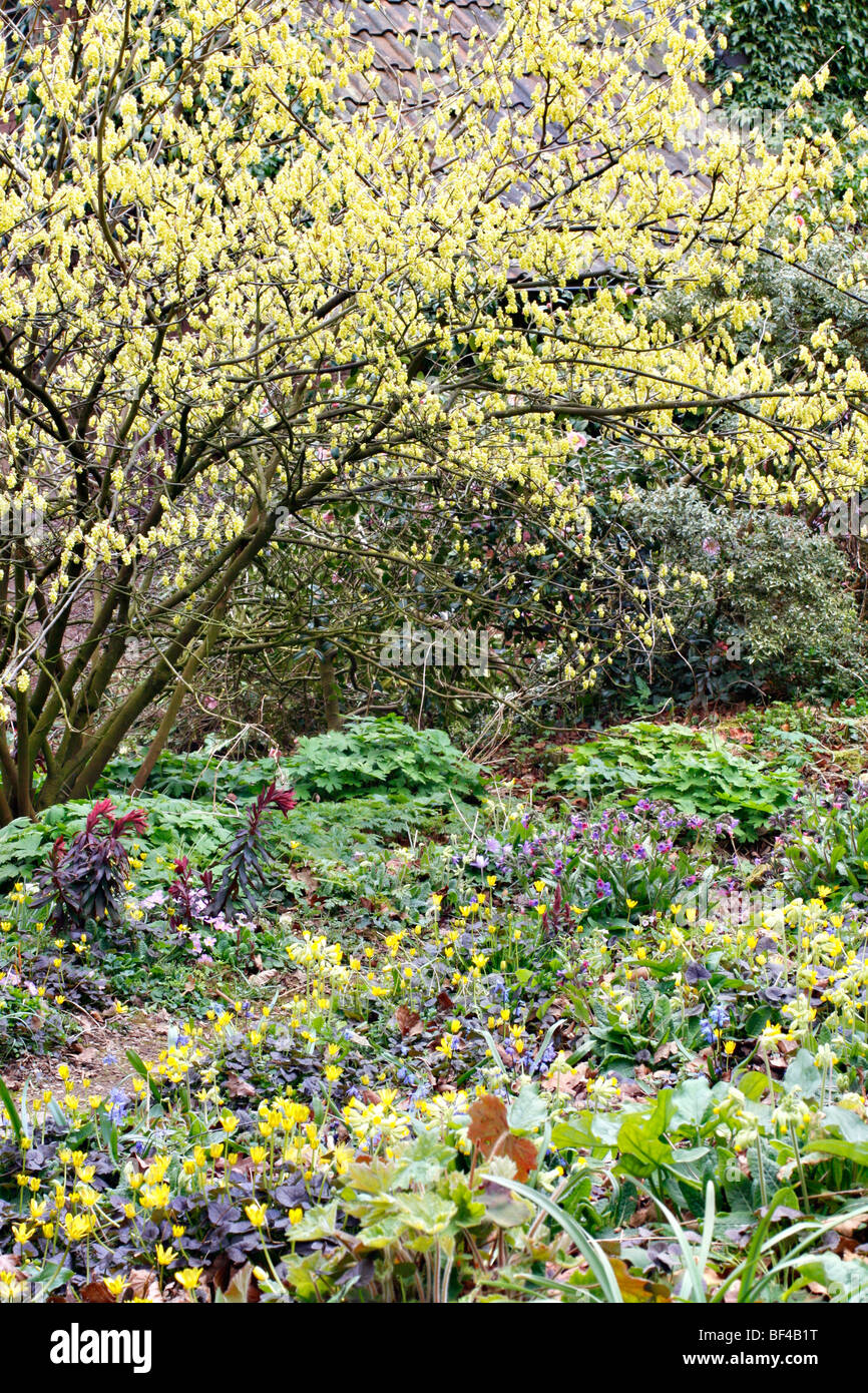 Brazen hussy hi-res stock photography and images - Alamy