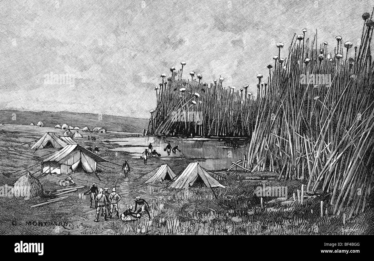 British explorer Henry Morton (H.M.) Stanley led an expedition in ...