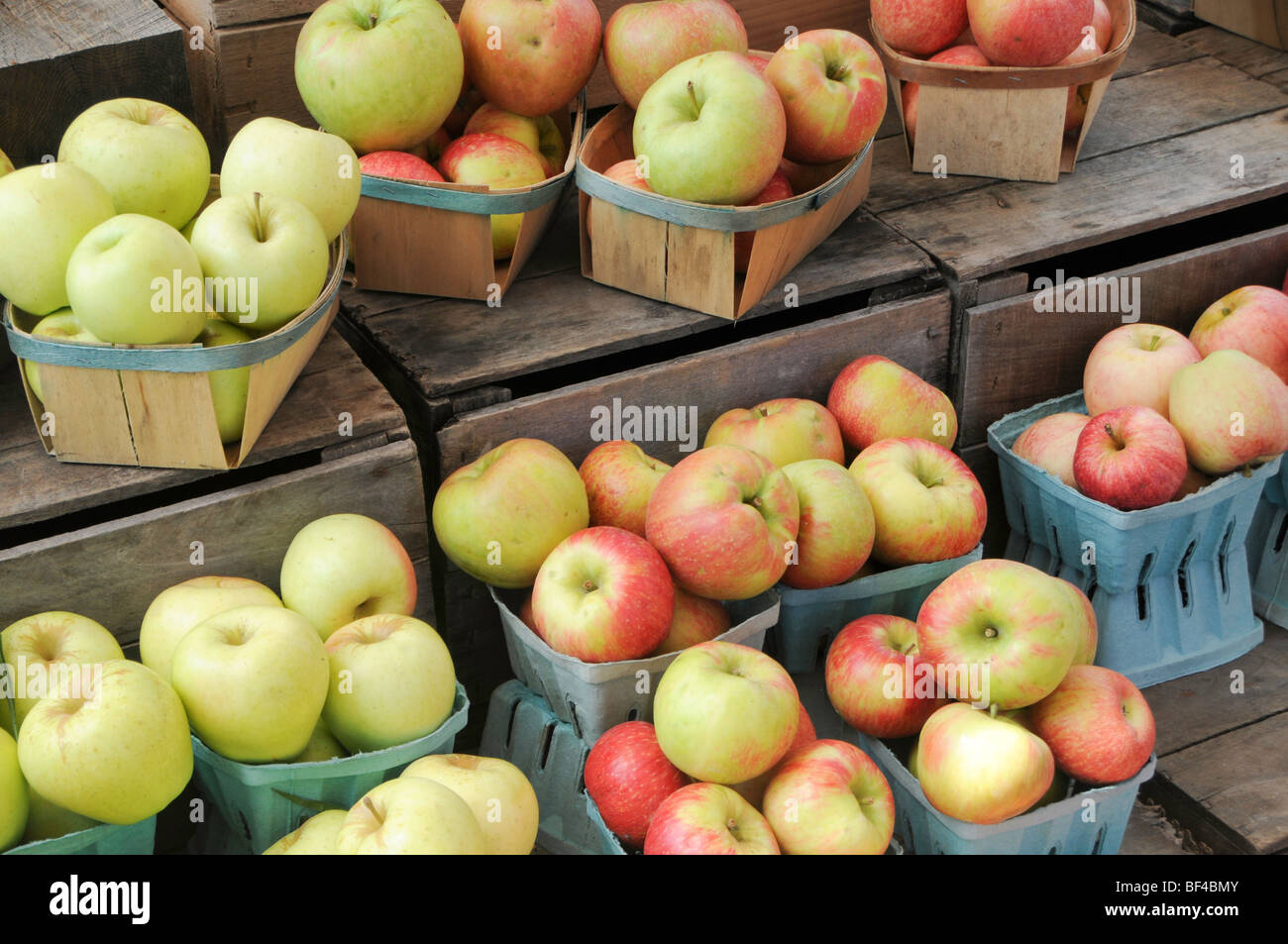 Cartons of Freshly Picked Apples Stock Photo - Alamy