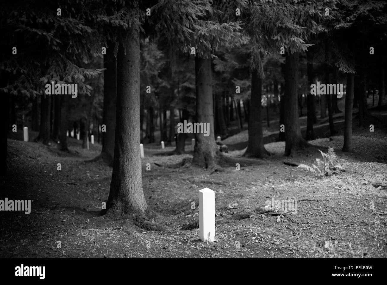 World war one ww1 Black and White Stock Photos & Images - Alamy