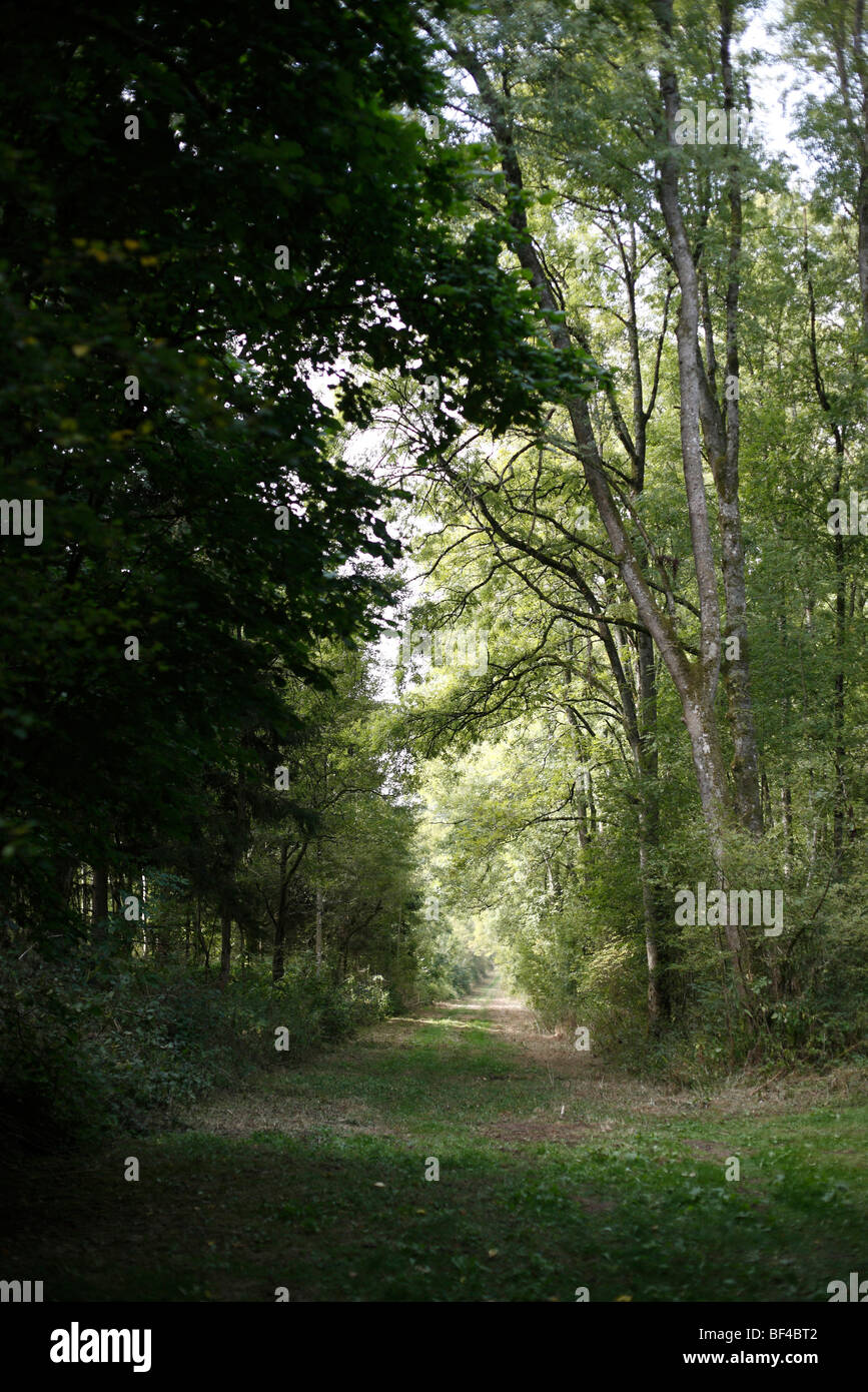 The Ravin des Vignes in the destroyed village of Fleury in the ...