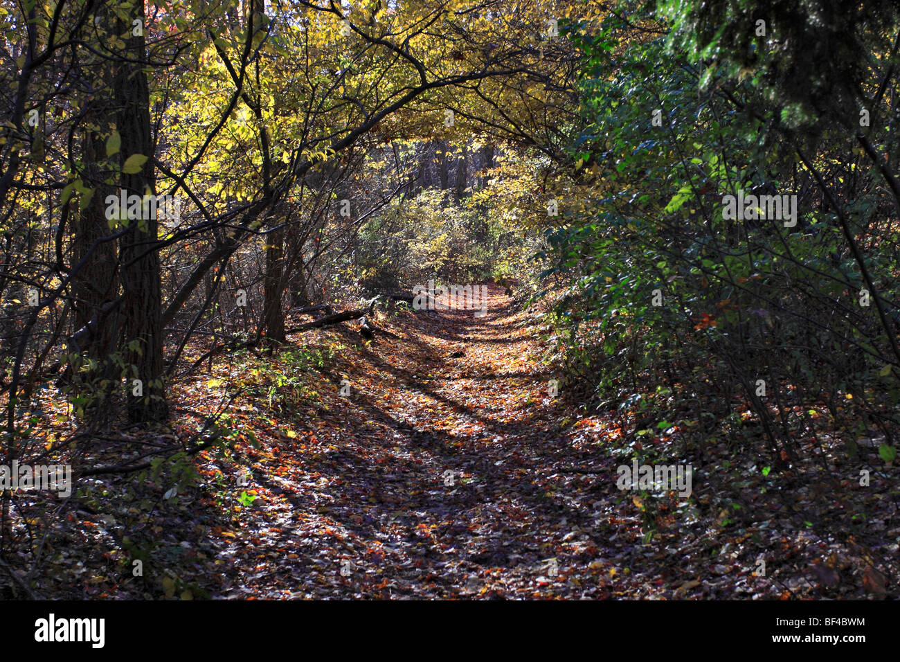 Blydenburgh Park, Long Island, NY Stock Photo - Alamy
