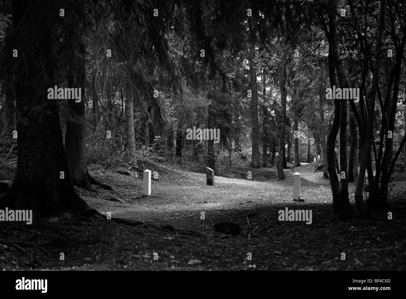 World war one ww1 Black and White Stock Photos & Images - Alamy
