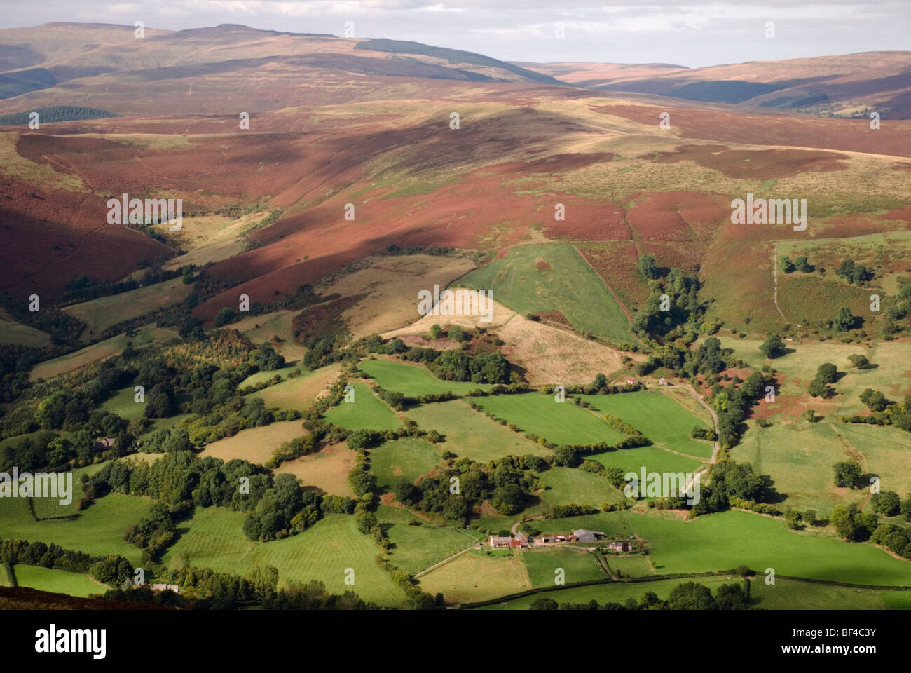 Llwyn hi-res stock photography and images - Alamy