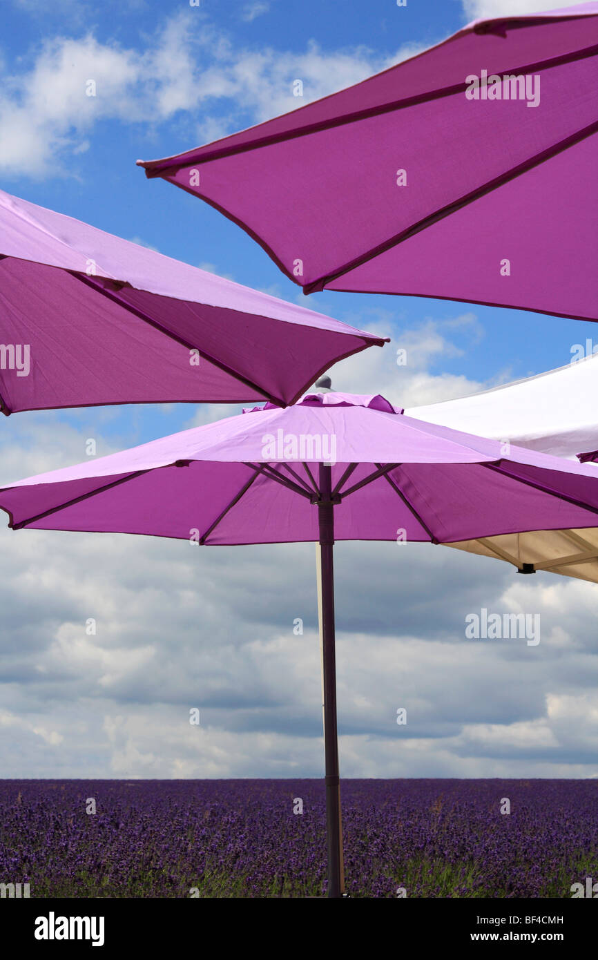 Pretty parasols hi-res stock photography and images - Alamy