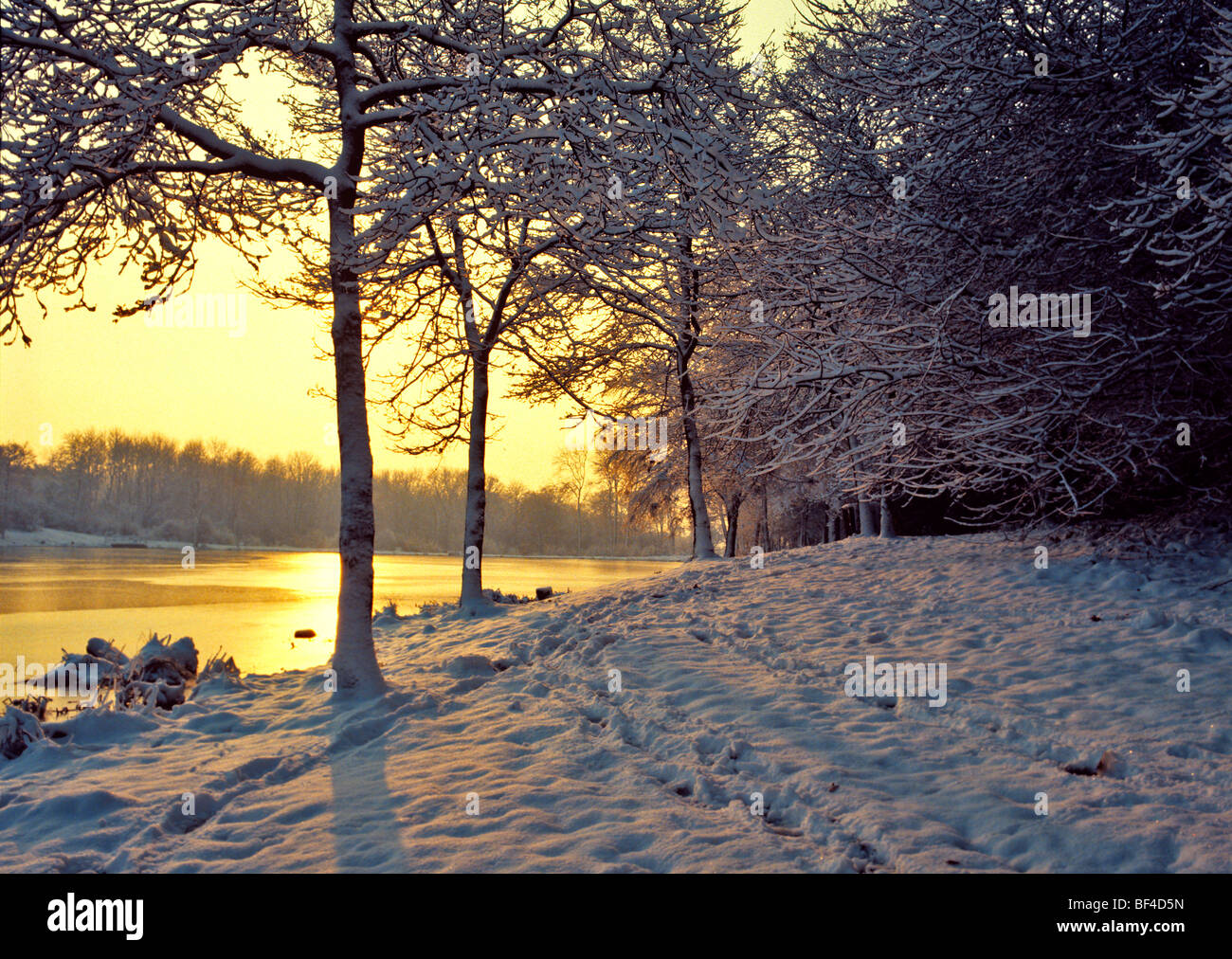A winter scene of a frozen lake and snow covered trees Stock Photo - Alamy