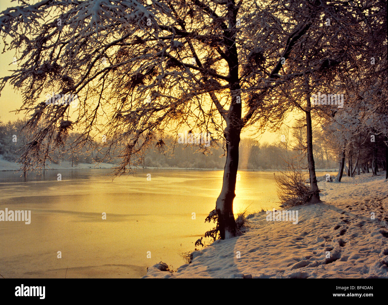 A winter scene of a frozen lake and snow covered trees Stock Photo - Alamy