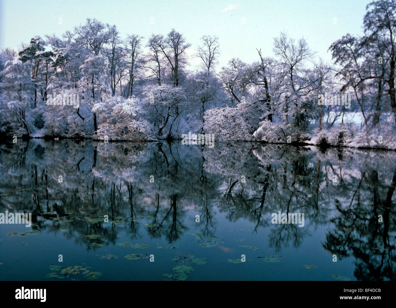 A winter scene of a frozen lake and snow covered trees Stock Photo - Alamy