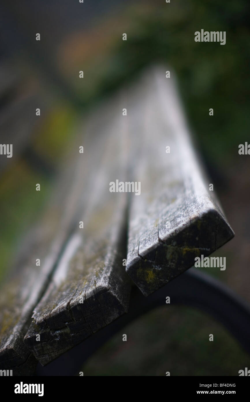 Soft rot wood hi-res stock photography and images - Alamy