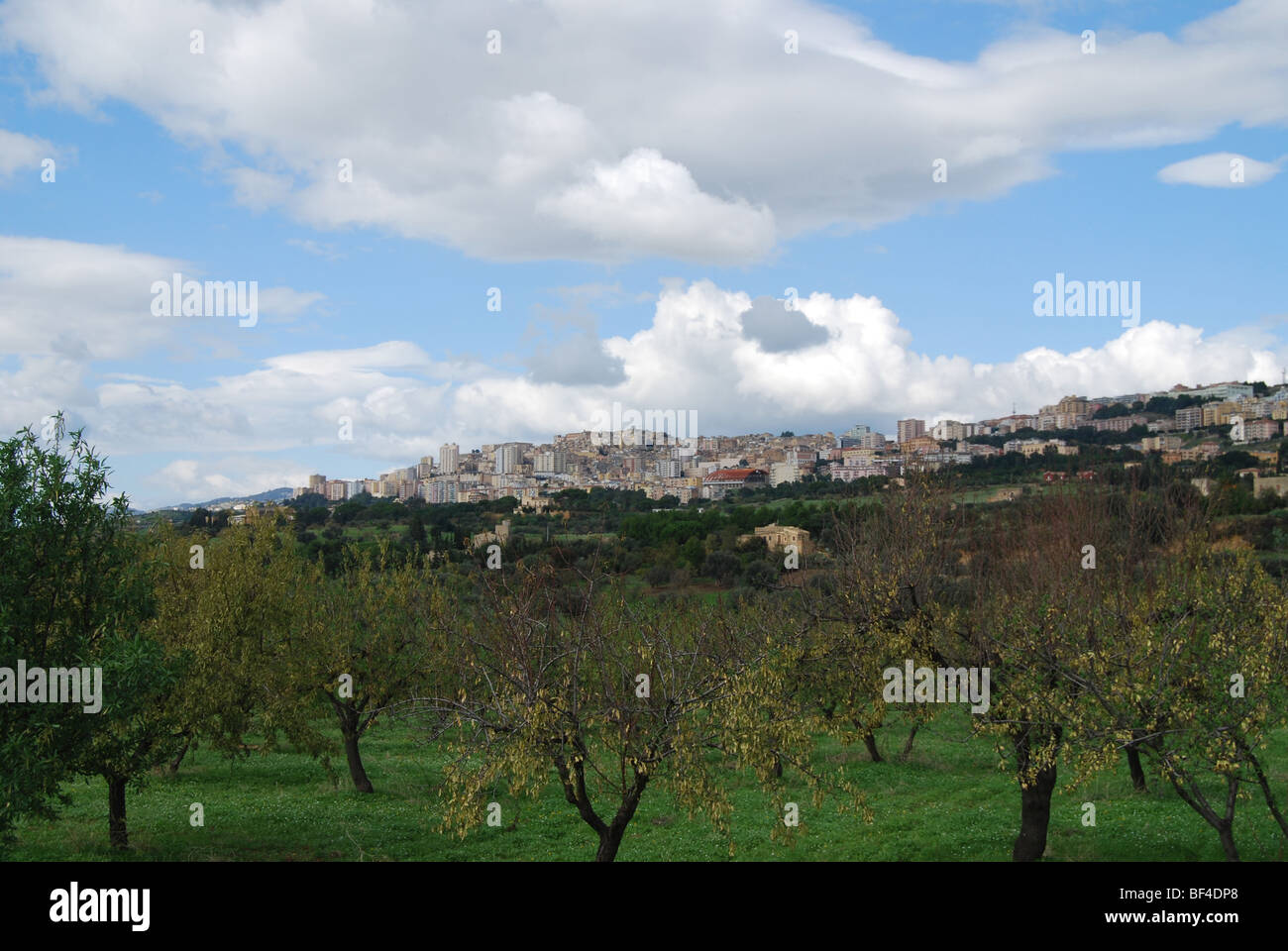 Agrigento town, view from valley of the temples across an olive grove ...