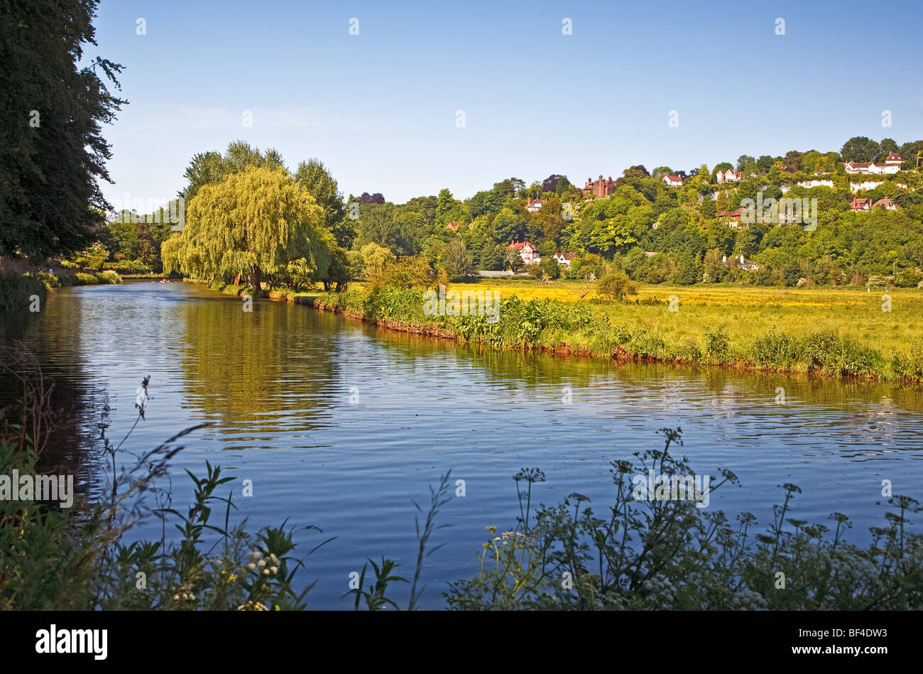 A view of Guildford town from the Wey & Arun Canal Surrey UK 2009 Stock ...