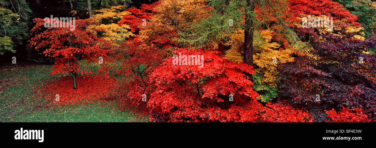 A colourful panoramic picture of the amazing Autumn colours at ...