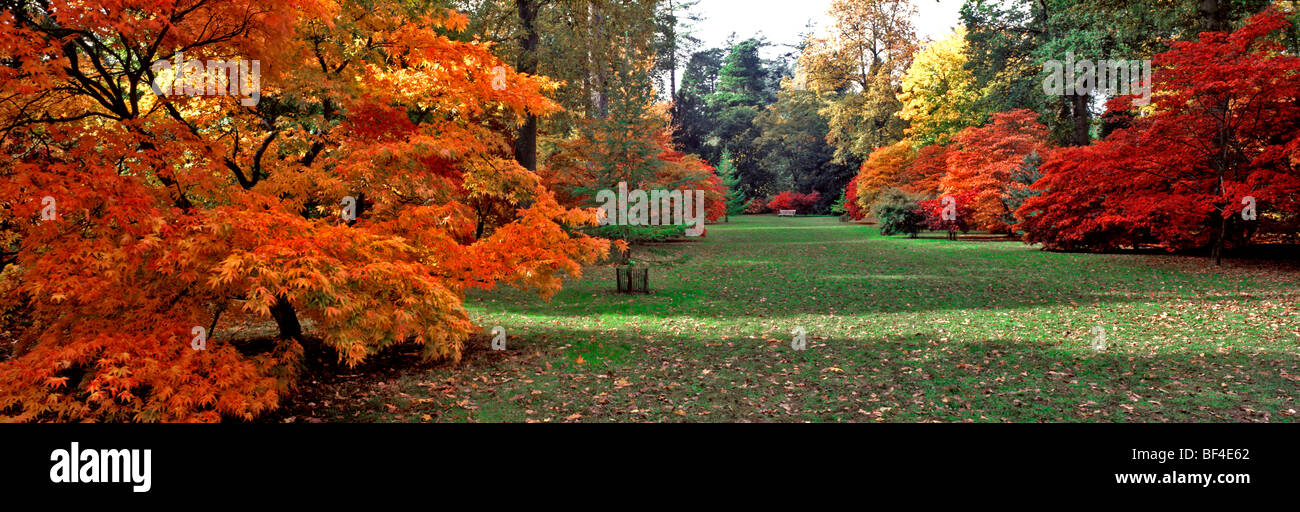 A colourful panoramic picture of the amazing Autumn colours at ...