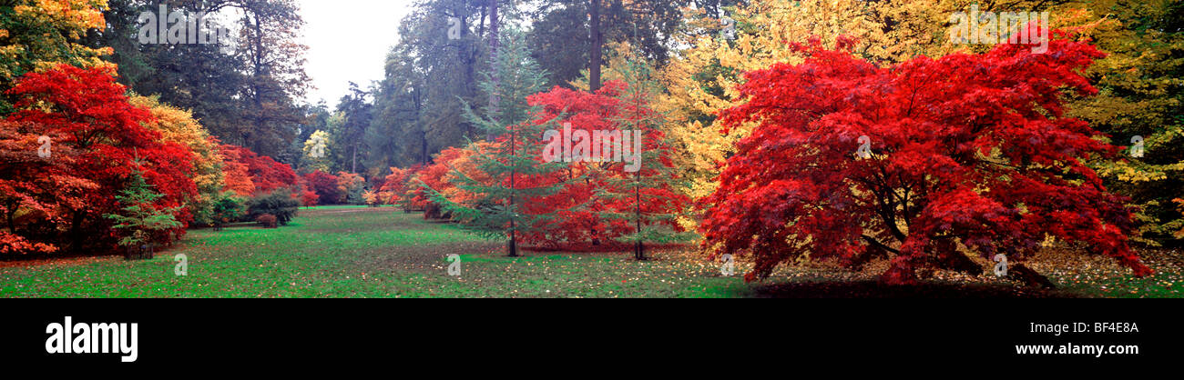 A colourful panoramic picture of the amazing Autumn colours at ...