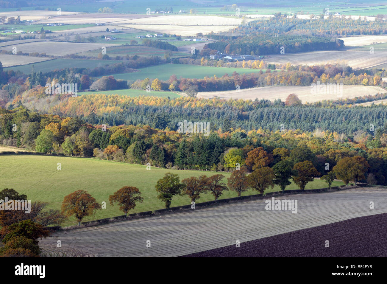 Gaudy Colours High Resolution Stock Photography and Images - Alamy
