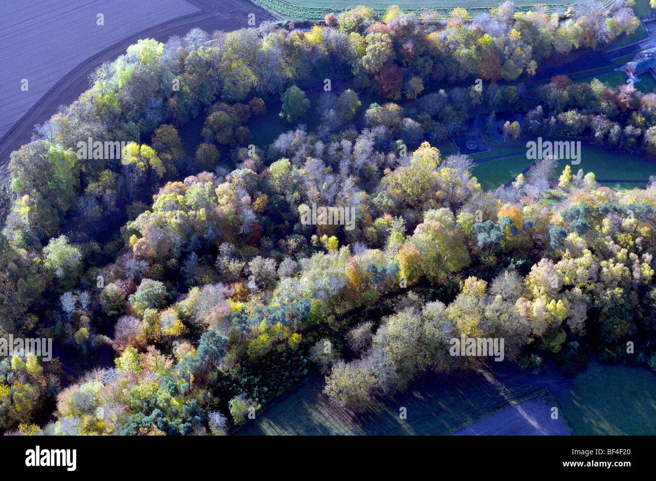 Gaudy Colours High Resolution Stock Photography and Images - Alamy