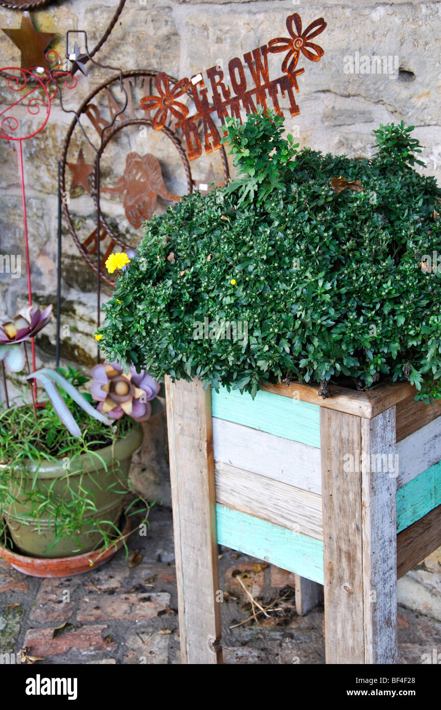 Plants in wooden plant box Stock Photo - Alamy