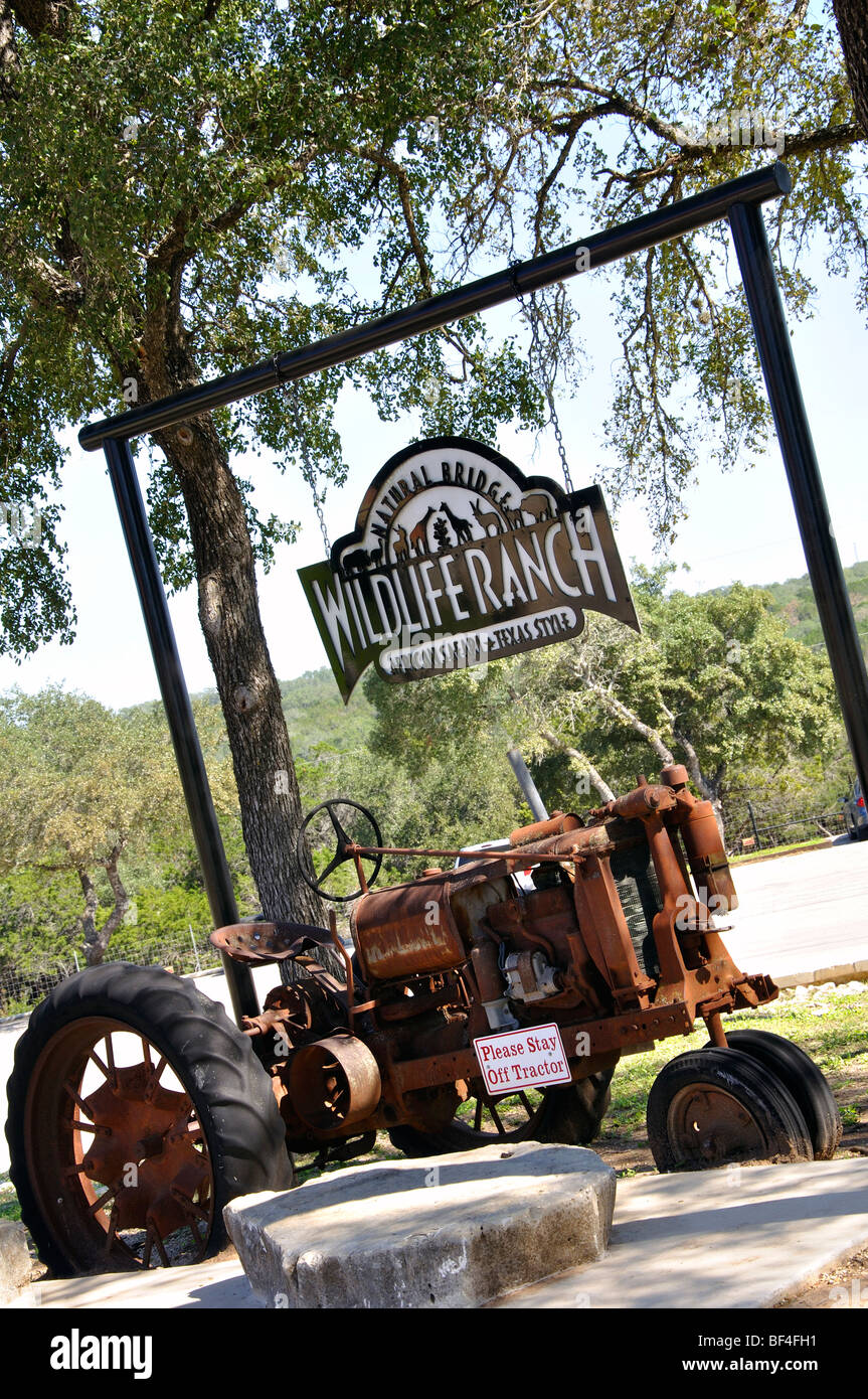 Safari Texas Ranch Wedding