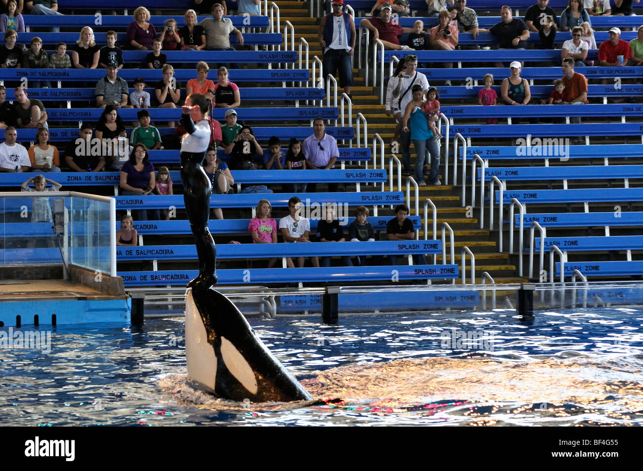 Killer whale show at SeaWorld, San Antonio, Texas - the largest ...