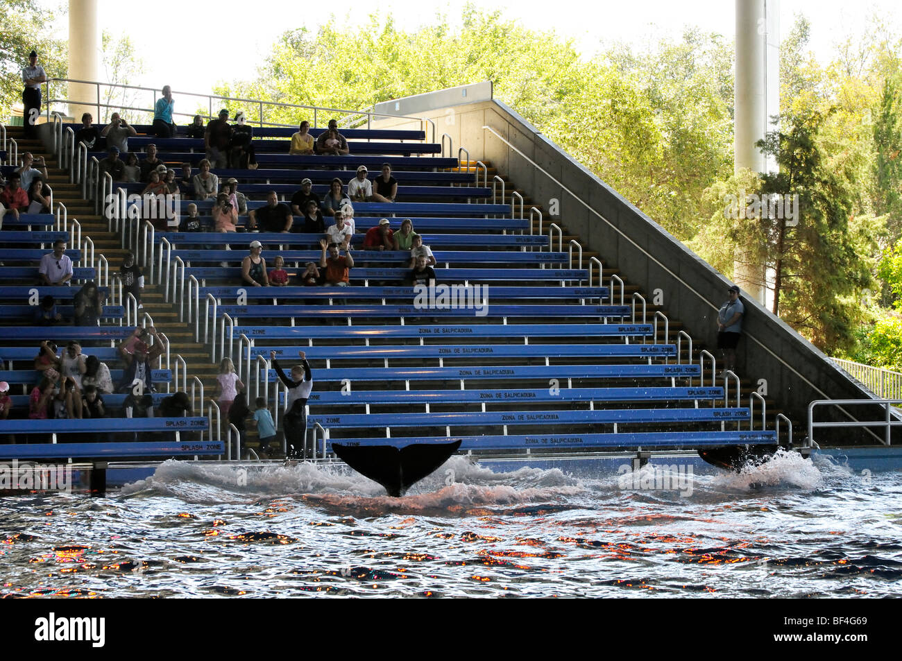 Killer whale show at SeaWorld, San Antonio, Texas - the largest ...