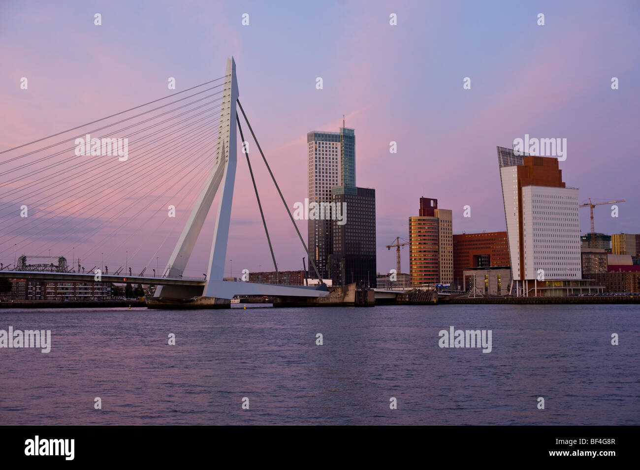 Erasmus Bridge, Rotterdam, South Holland, Holland, Netherlands, Europe ...