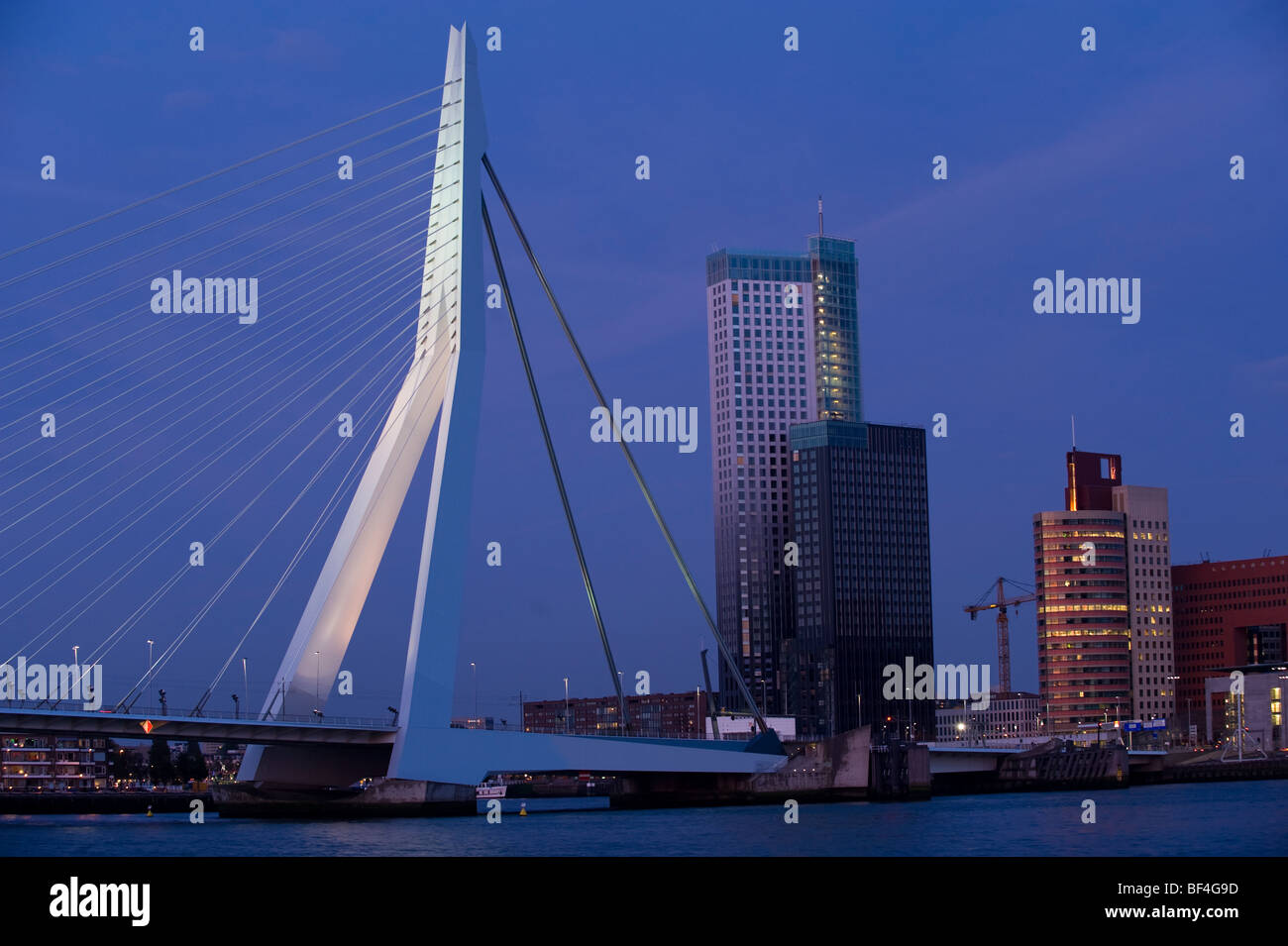 Erasmus Bridge, Rotterdam, South Holland, Holland, Netherlands, Europe ...