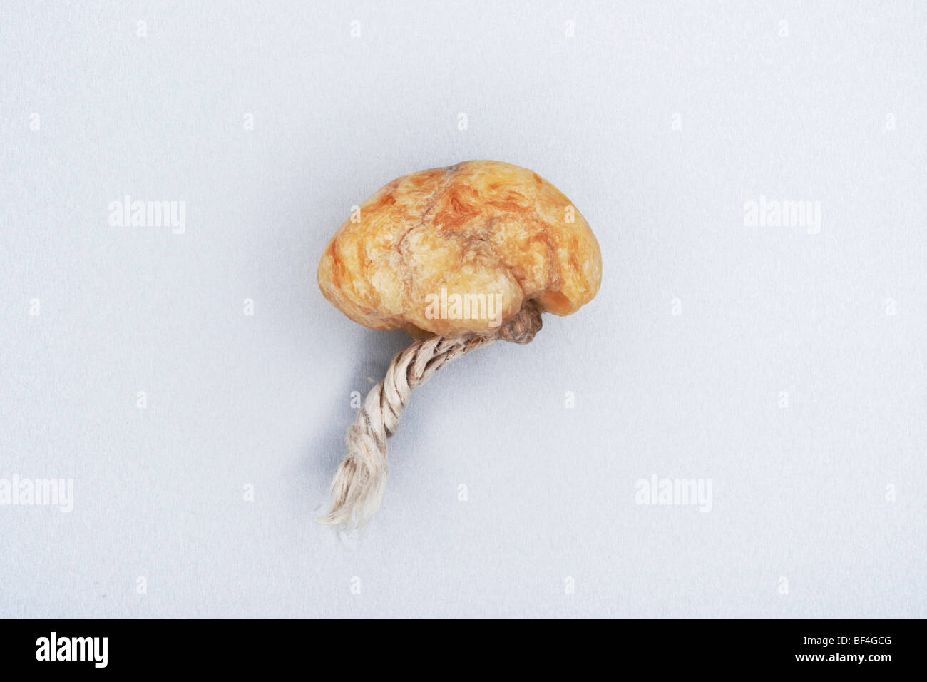 Rope brain hi-res stock photography and images - Alamy