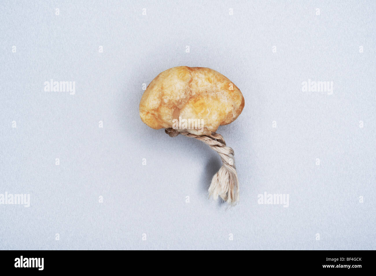 Rope brain hi-res stock photography and images - Alamy